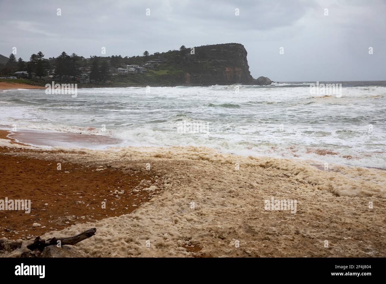 Sydney heavy storms and wild surf with sea foam on the beach during the ...
