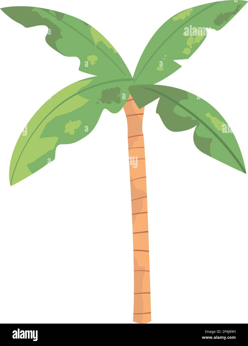 Palm tree on white background Stock Vector Image & Art - Alamy