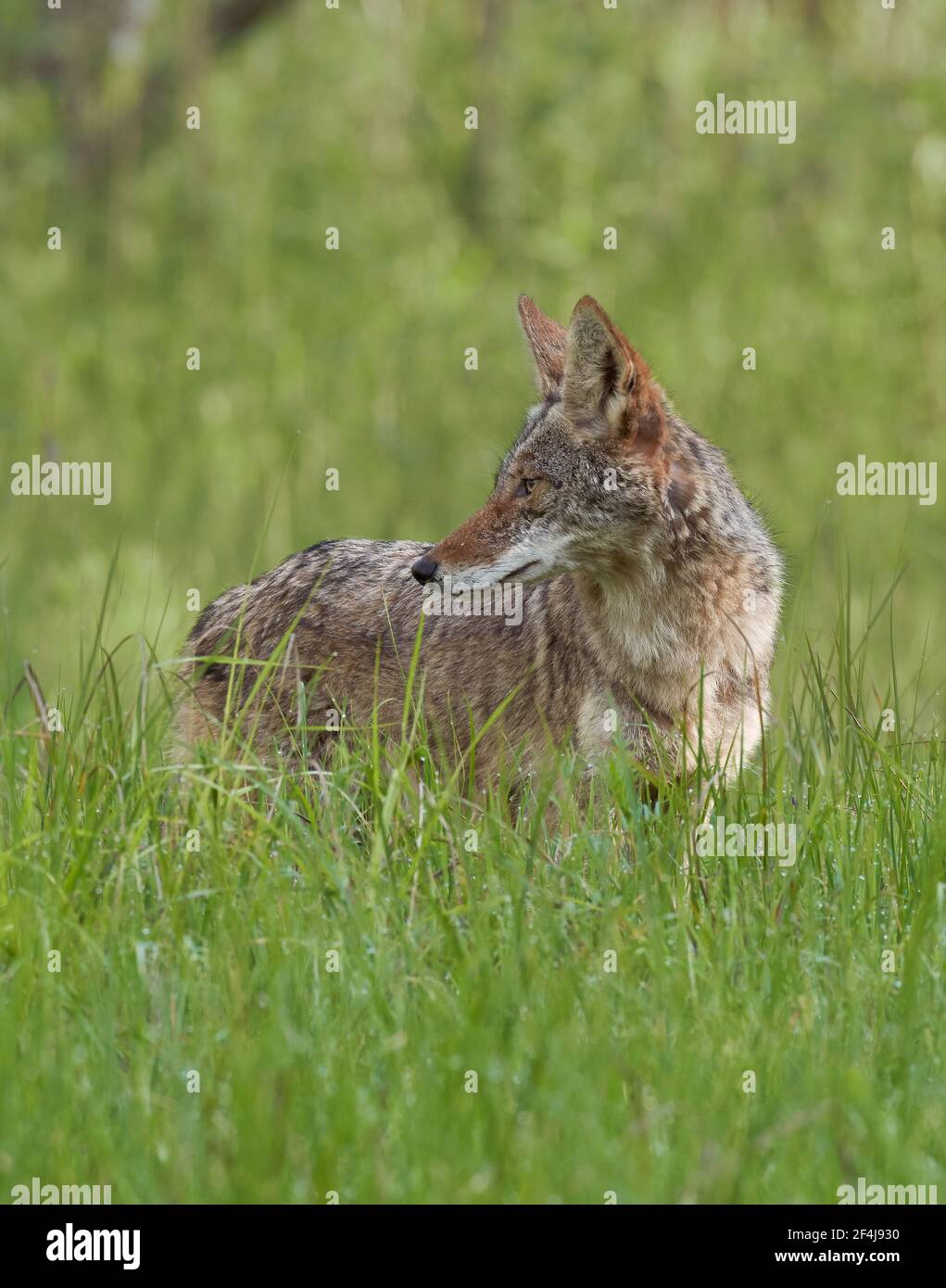 Sacramento usa hi-res stock photography and images - Alamy