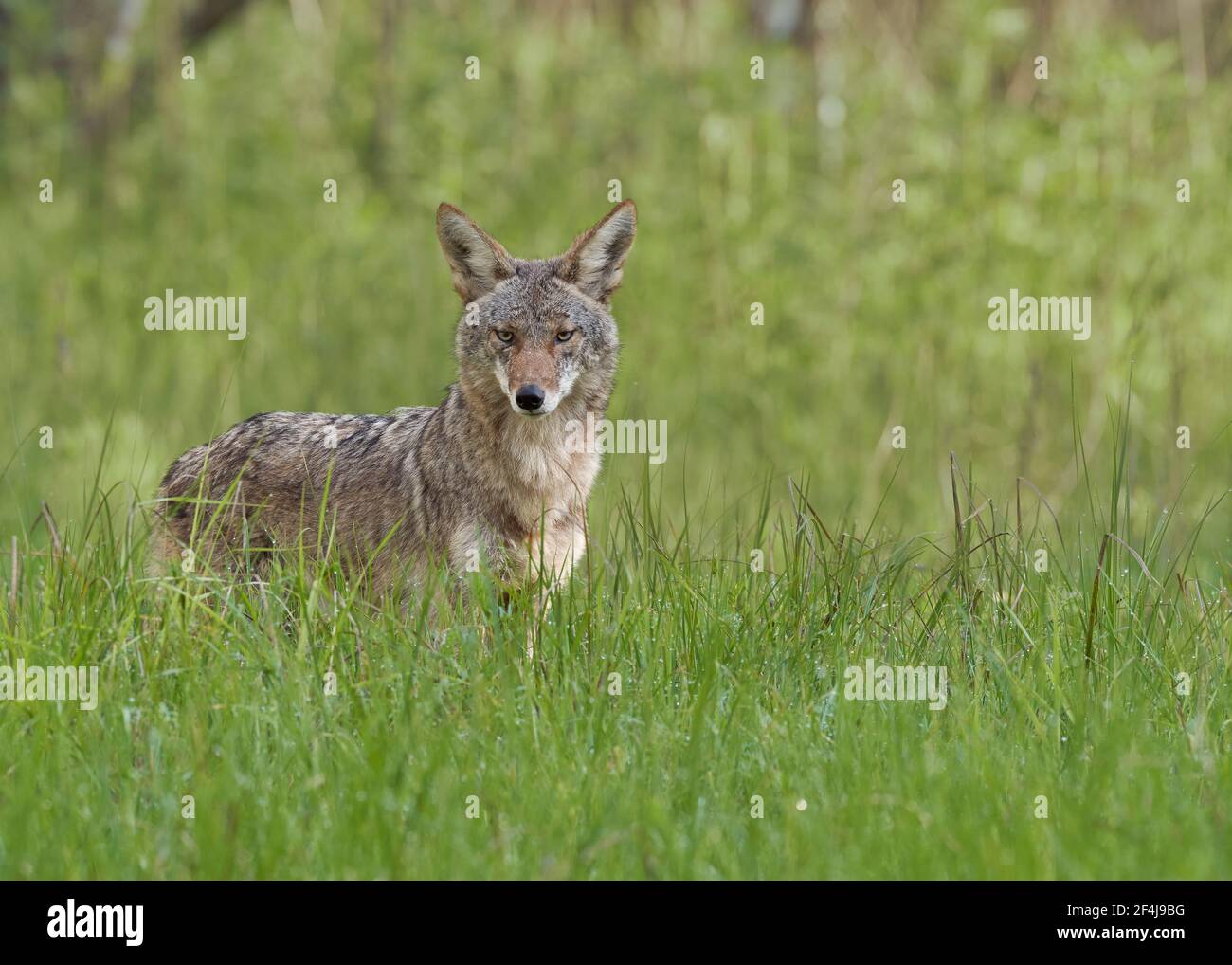 Sacramento usa hi-res stock photography and images - Alamy