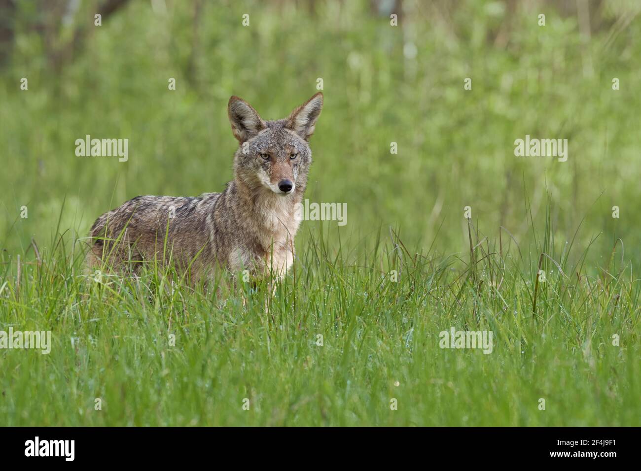 Sacramento usa hi-res stock photography and images - Alamy