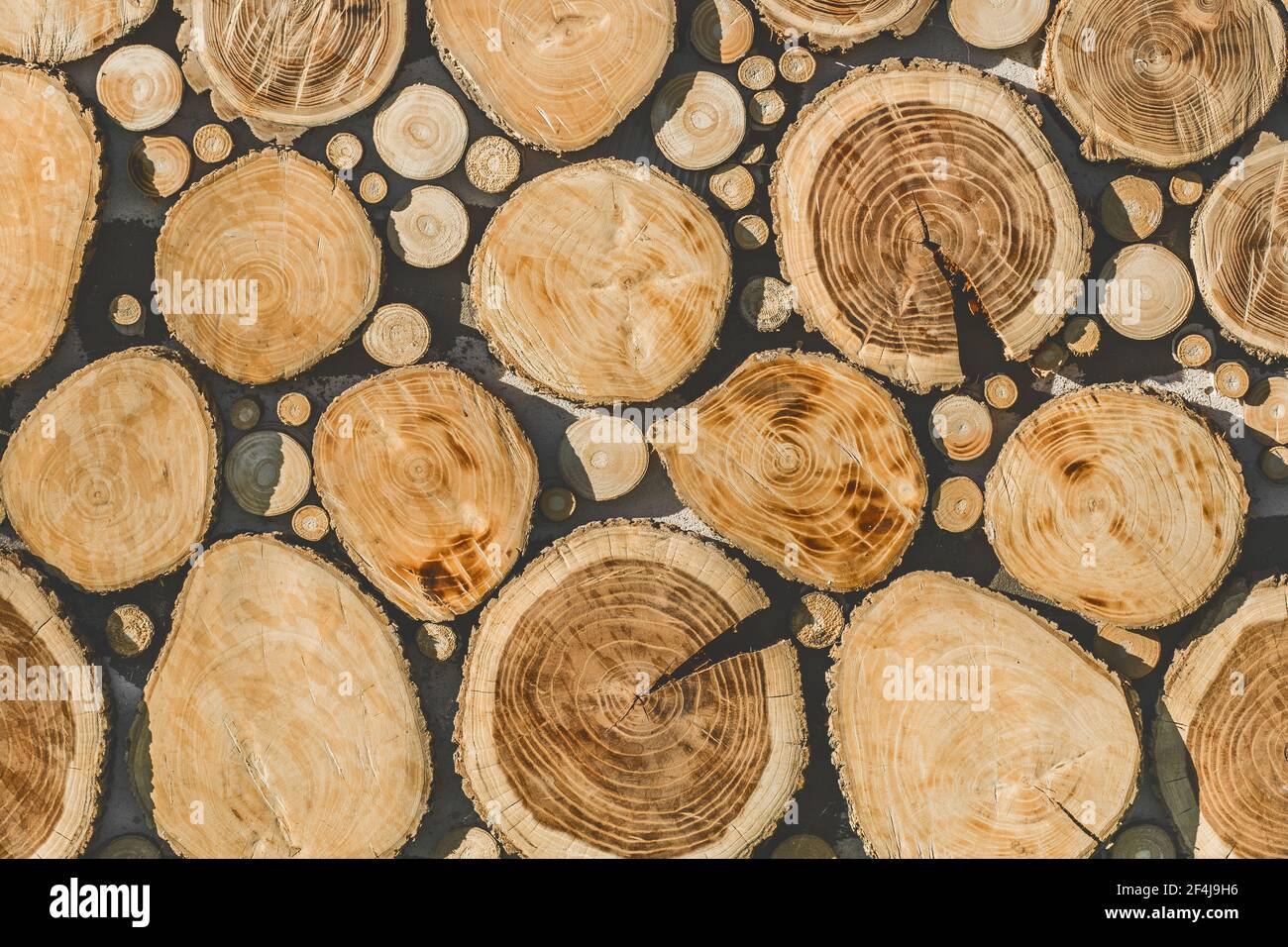 Annual wooden rings decorative pattern interior wall texture decor ...