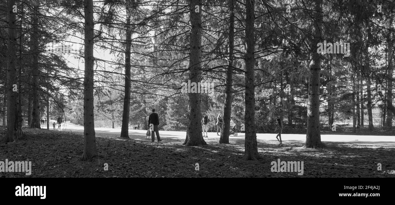 McMichael Canadian Art Collection with sculptures by Ivan Eyre Stock ...