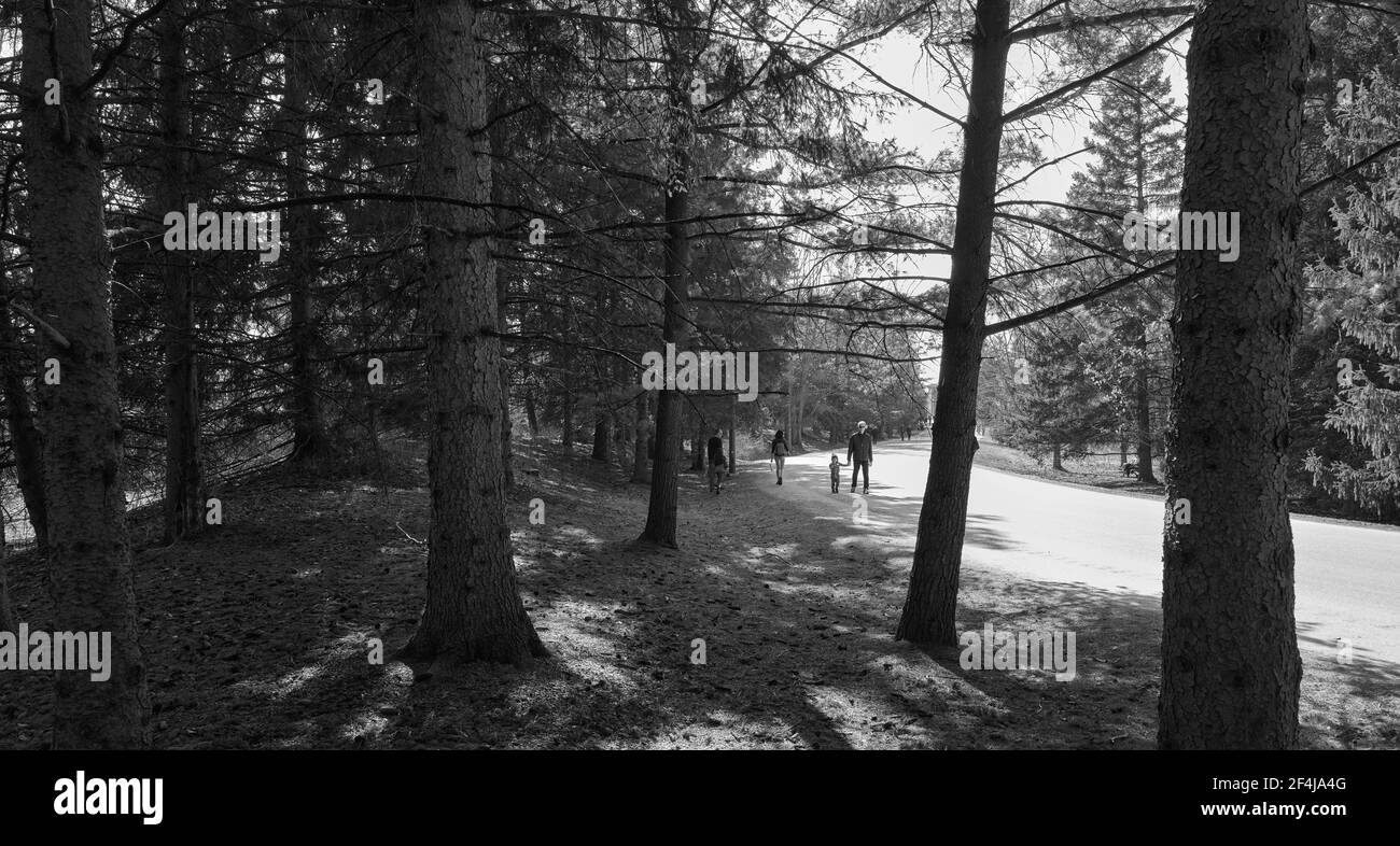 McMichael Canadian Art Collection with sculptures by Ivan Eyre Stock ...