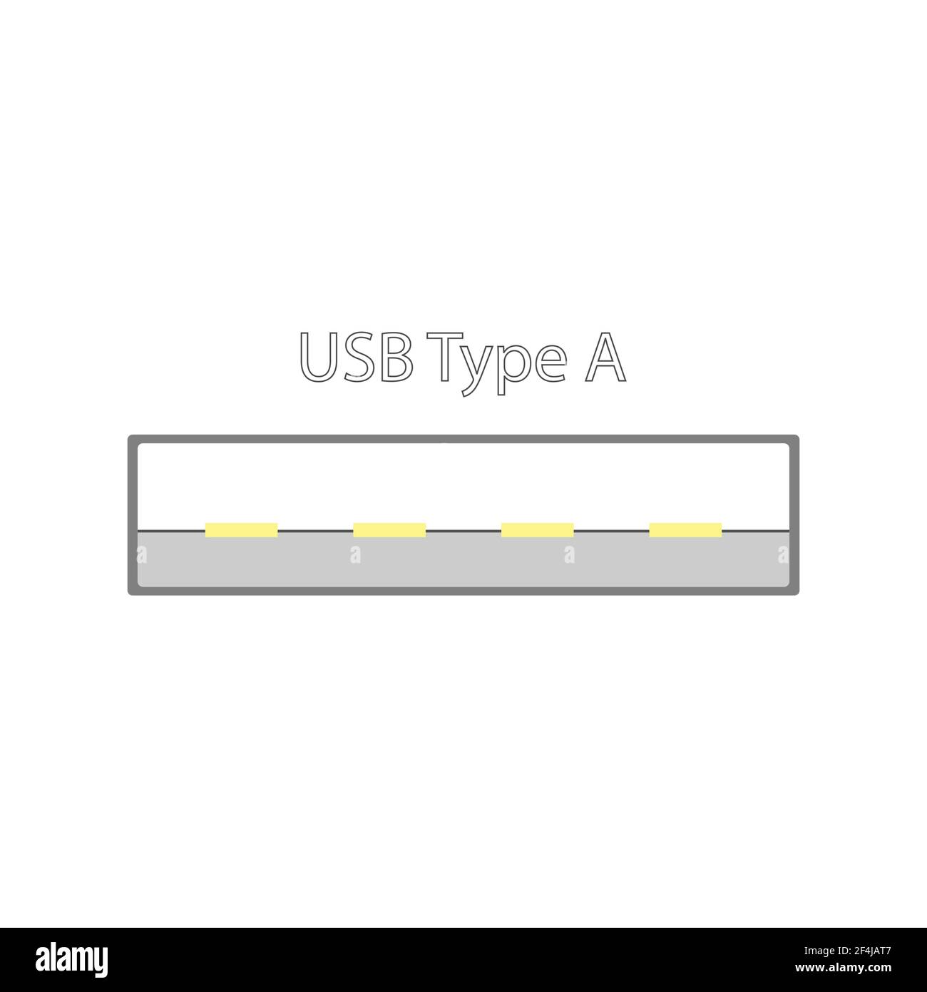 USB connector in a simple design with gold contacts. View in the plane ...