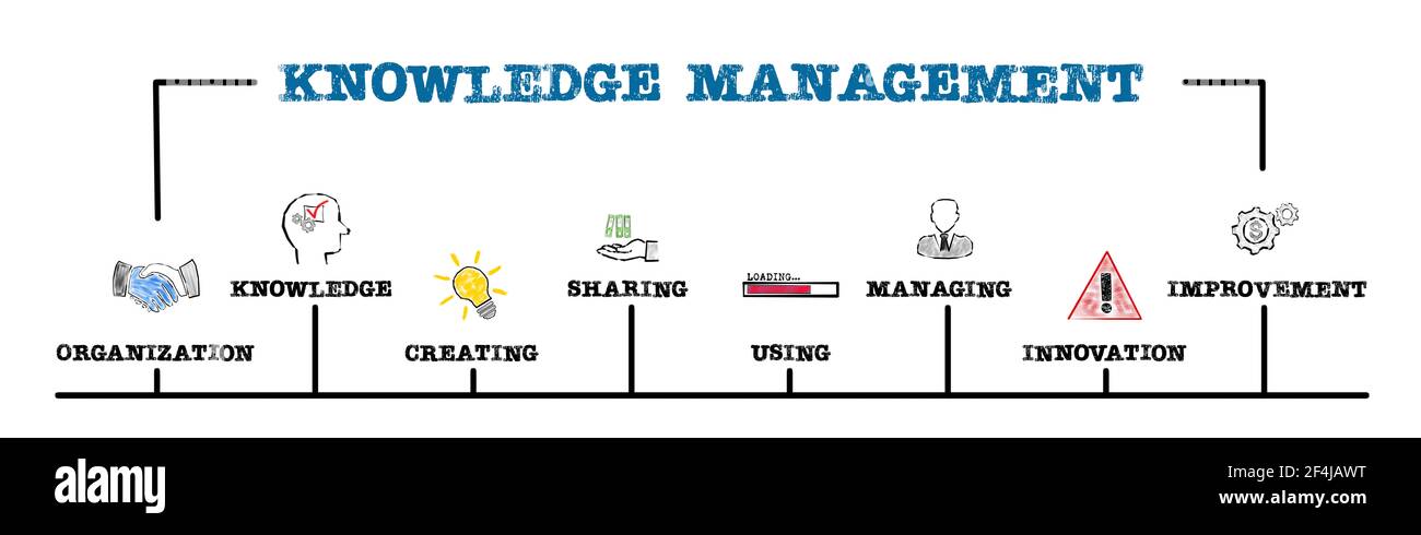 Knowledge Management Banner