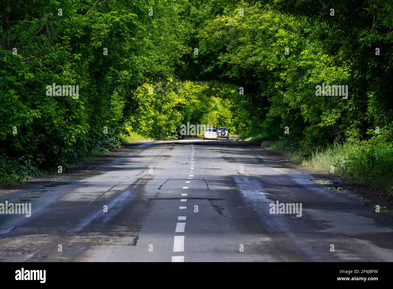 after rain, cars drive along a wet and shaded asphalt road through the ...