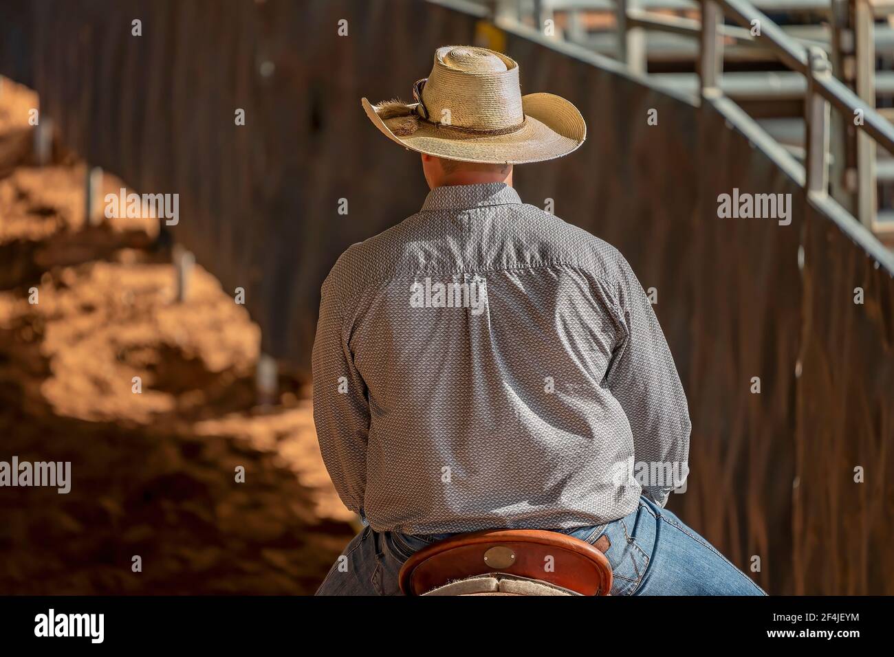 A horse and rider in a western style equestrian cutting competition ...