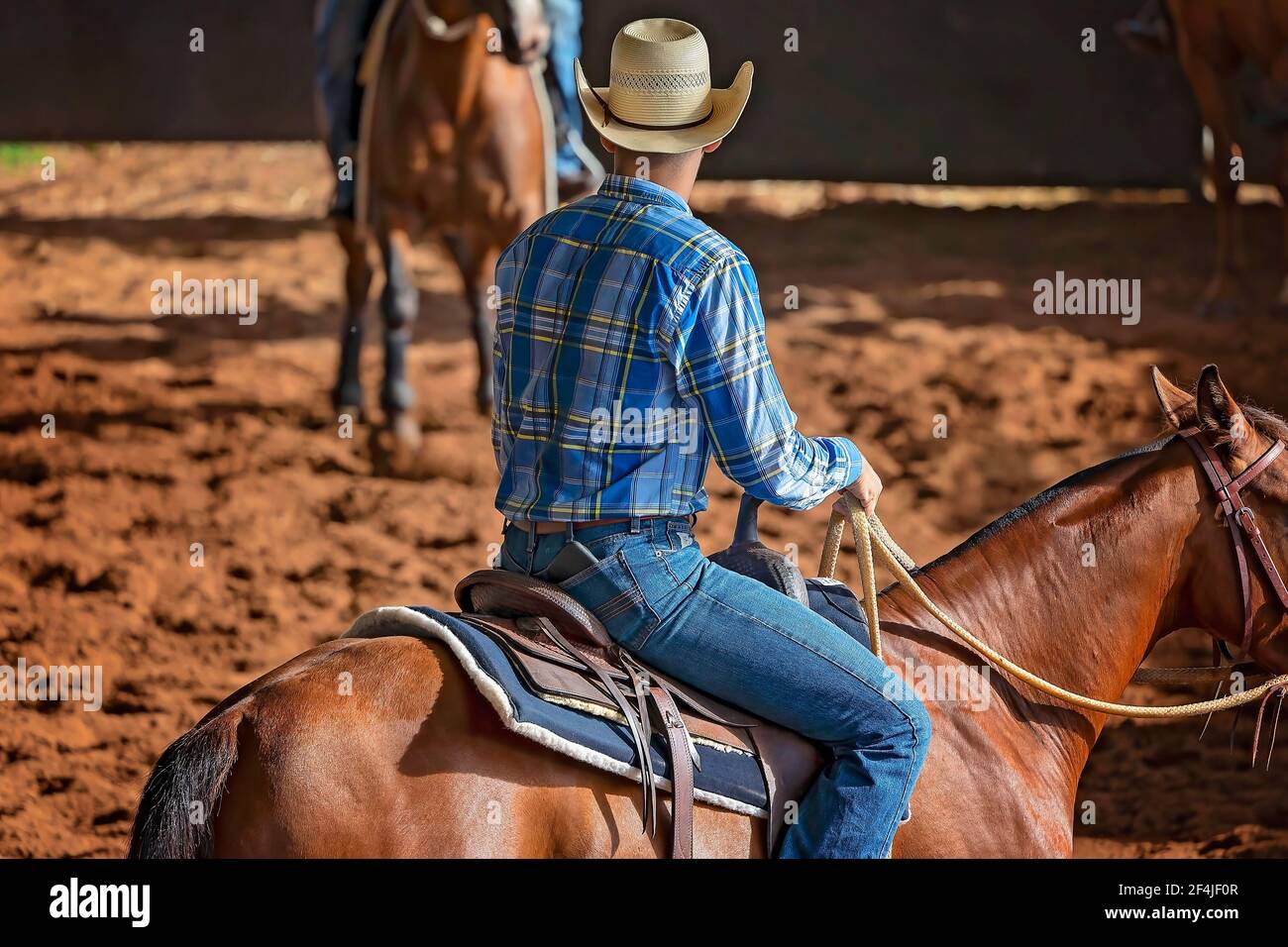 A horse and rider in a western style equestrian cutting competition ...