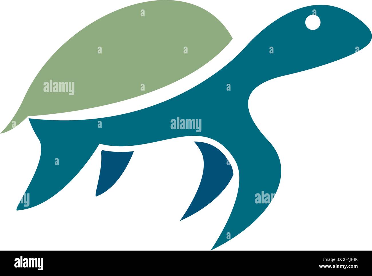Turtle shell top view Stock Vector Images - Alamy