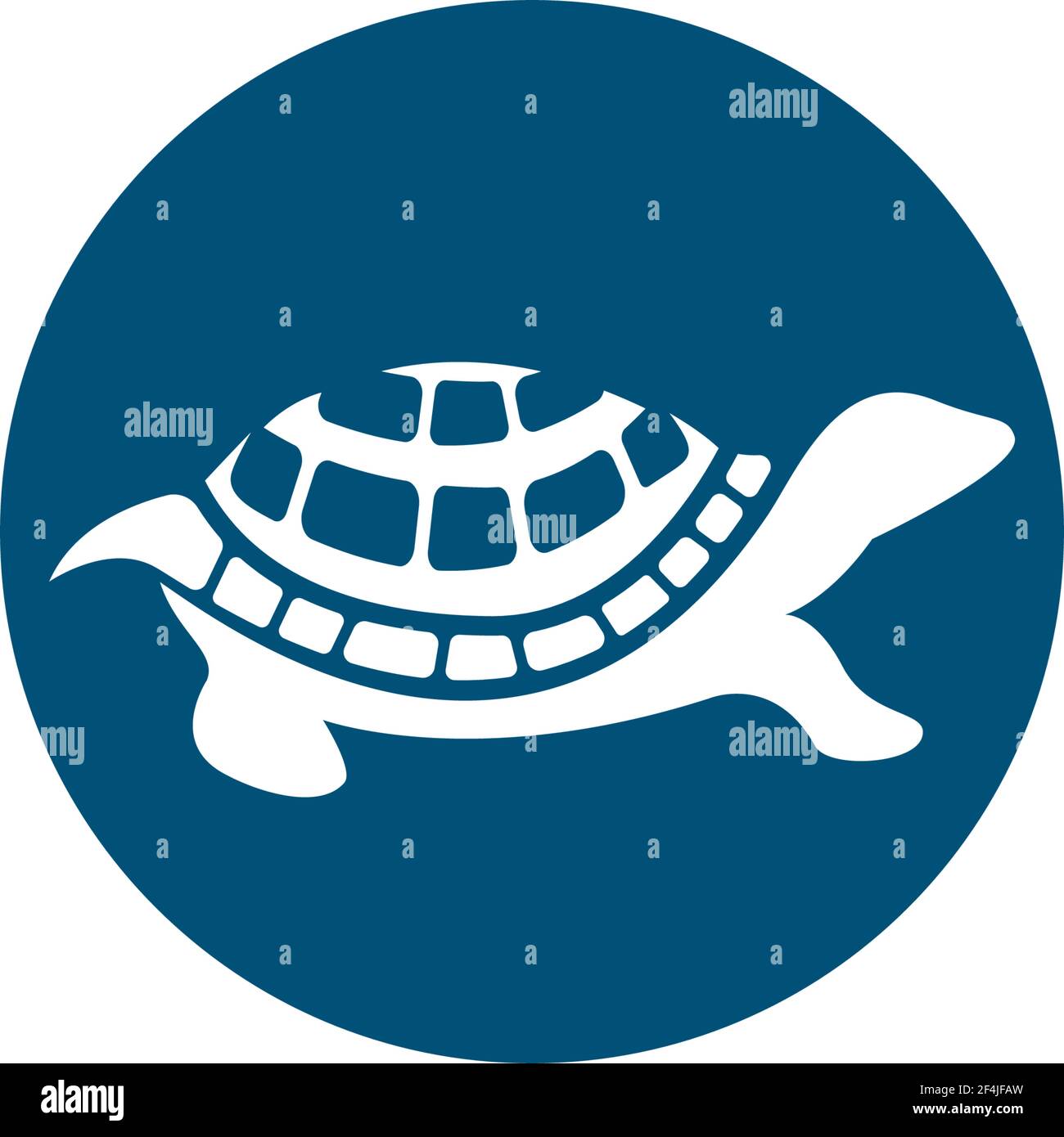 Turtle shell top view Stock Vector Images - Alamy