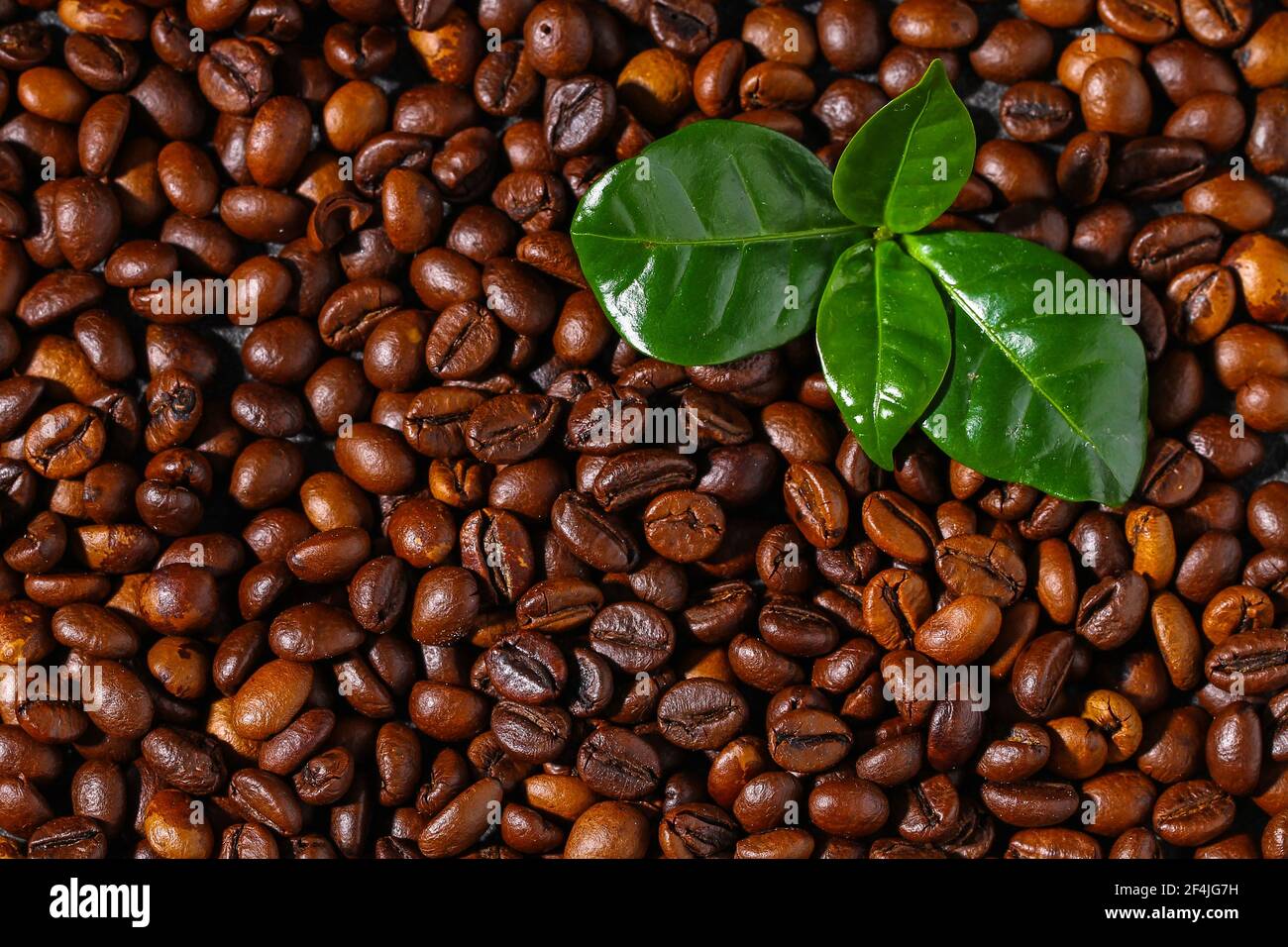 Roasted brown coffee beans. Top view. Coffee background texture Stock ...