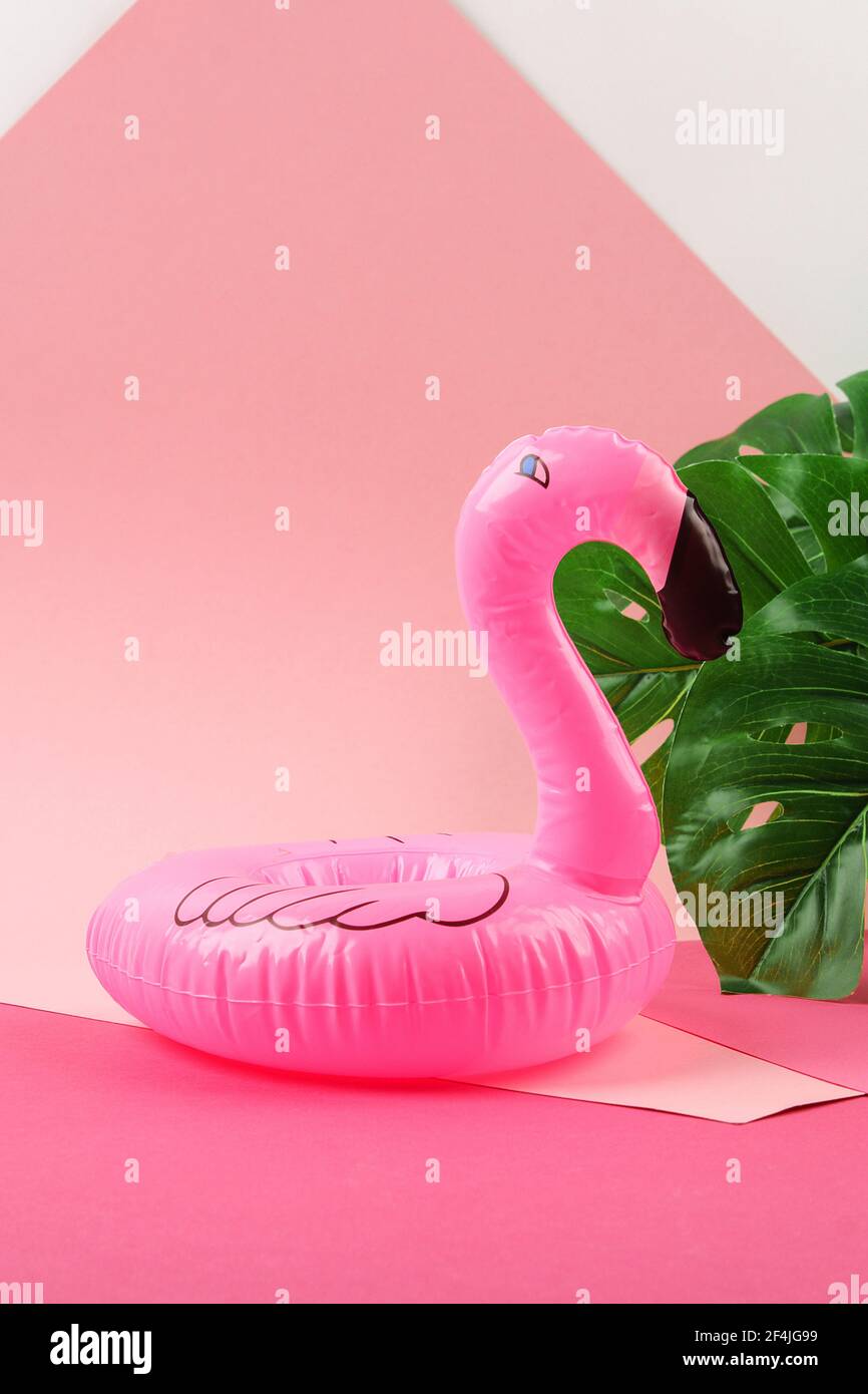 Inflatable pink mini flamingo and tropical leaf monstera on pink ...