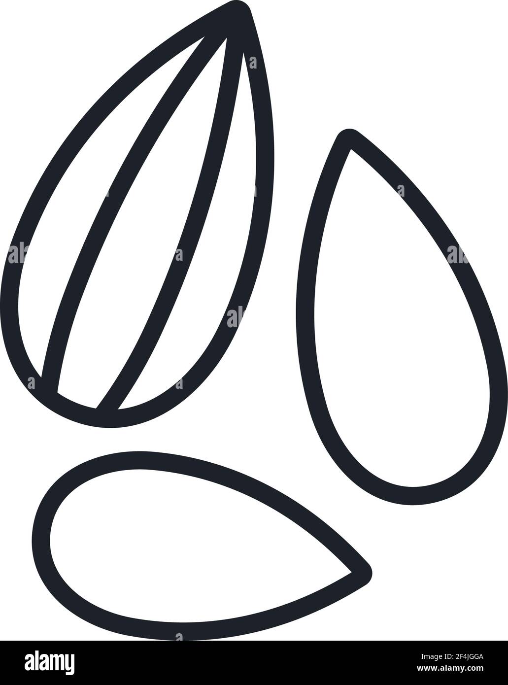 Almond icon. Vector linear icon, contour, shape, outline isolated on a ...