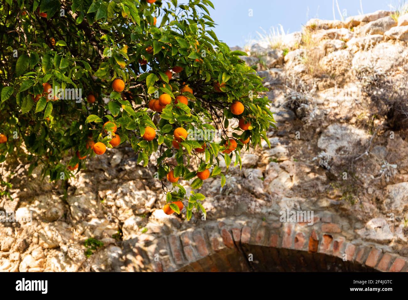 Natural fruits juice stand hi-res stock photography and images - Alamy