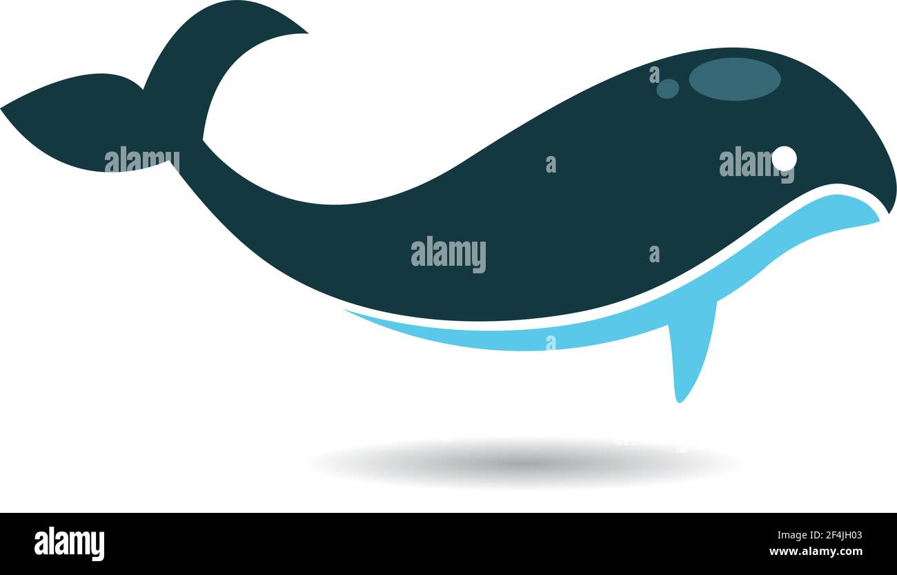 Baby orca whale Stock Vector Images - Alamy