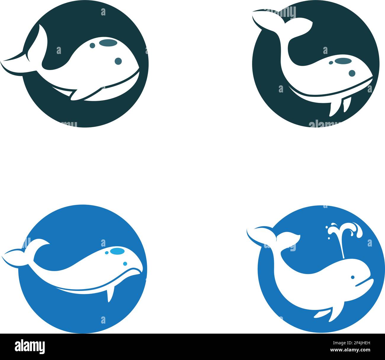 Beluga whale vector vectors Cut Out Stock Images & Pictures - Alamy