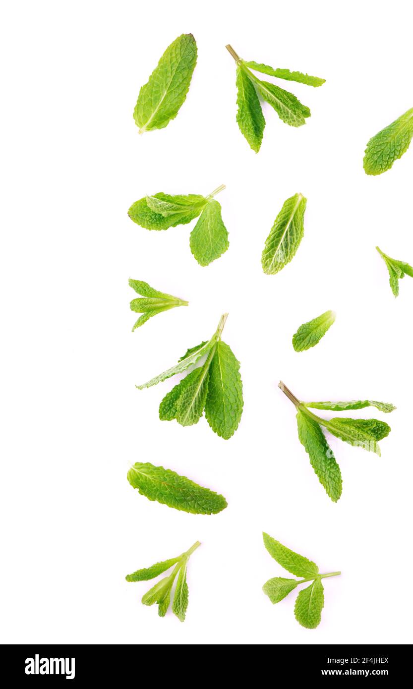 Falling green mint leaves Cut Out Stock Images & Pictures - Alamy