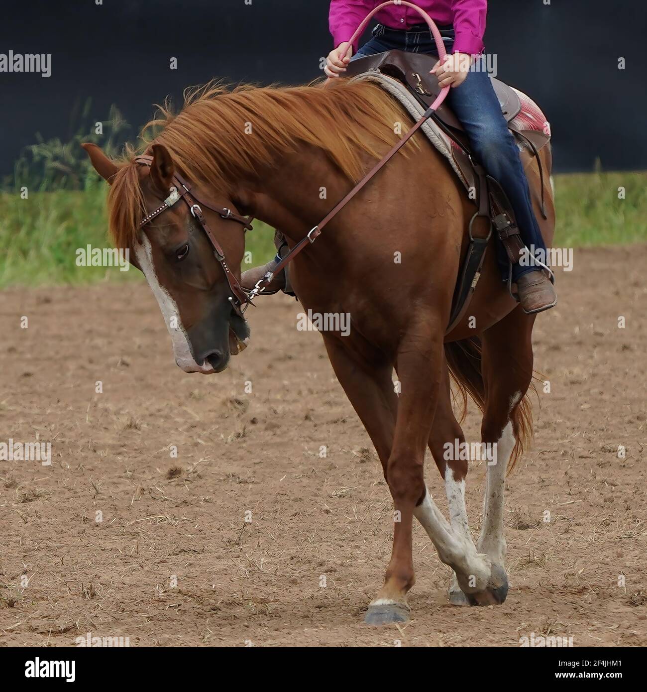 Western australia ridden hi-res stock photography and images - Alamy