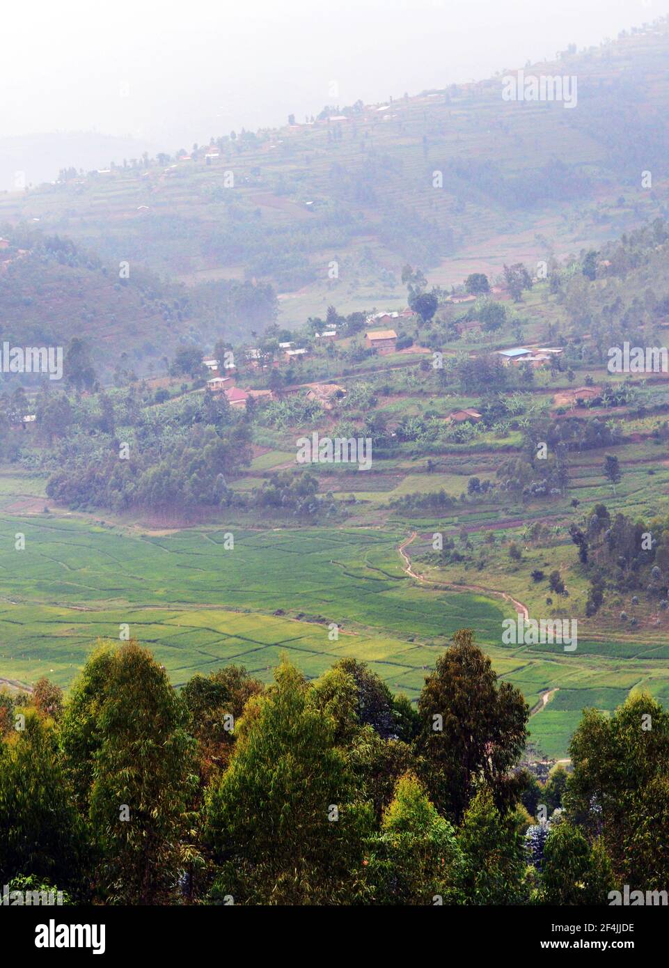Rural landscapes in western Rwanda Stock Photo - Alamy