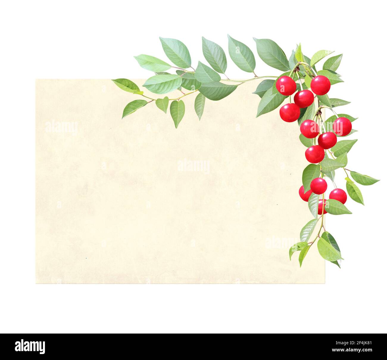 Blank card natural berry Cut Out Stock Images & Pictures - Alamy