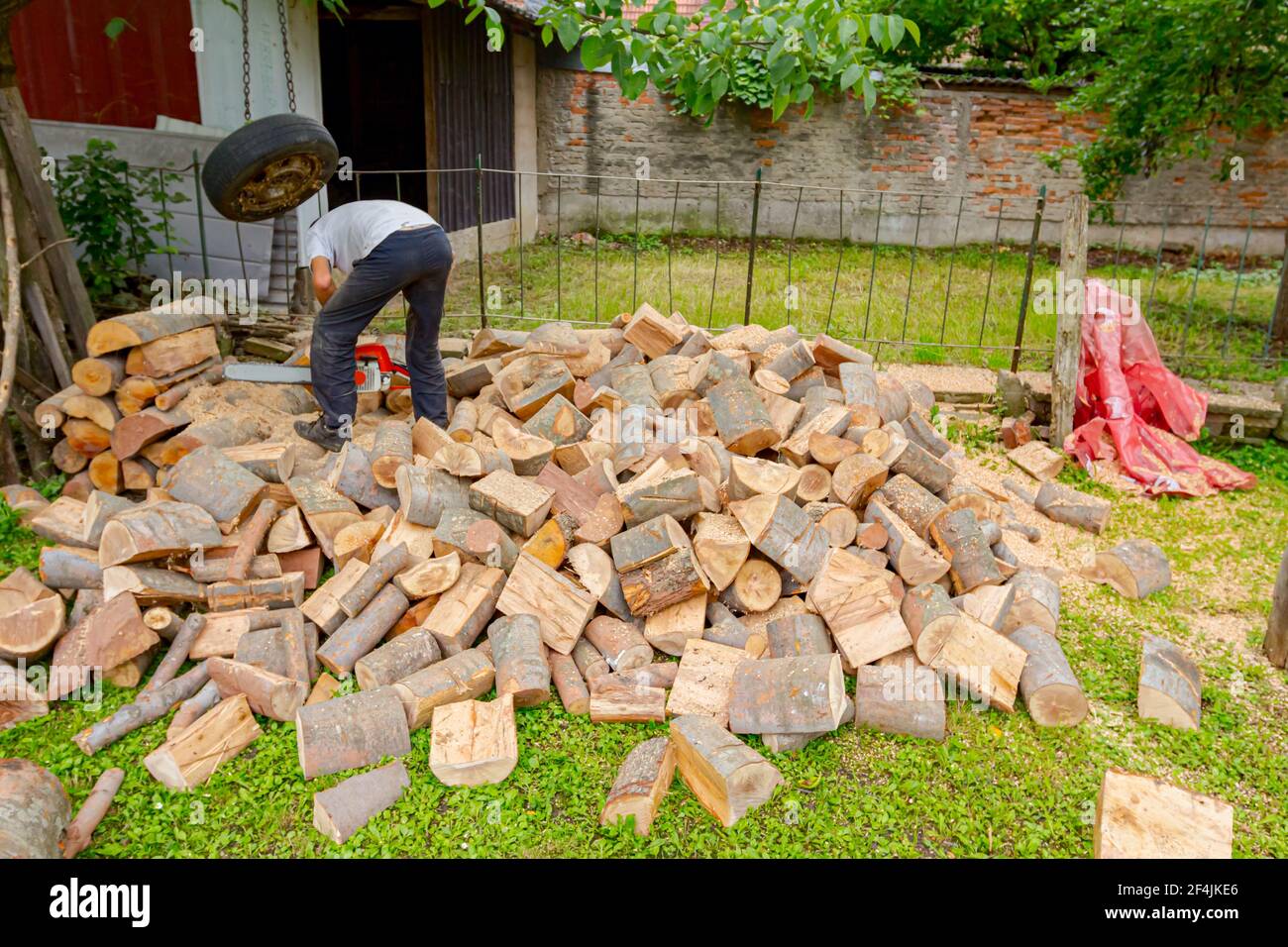 Lumberjack is chopping tree trunks in the yard using professional ...