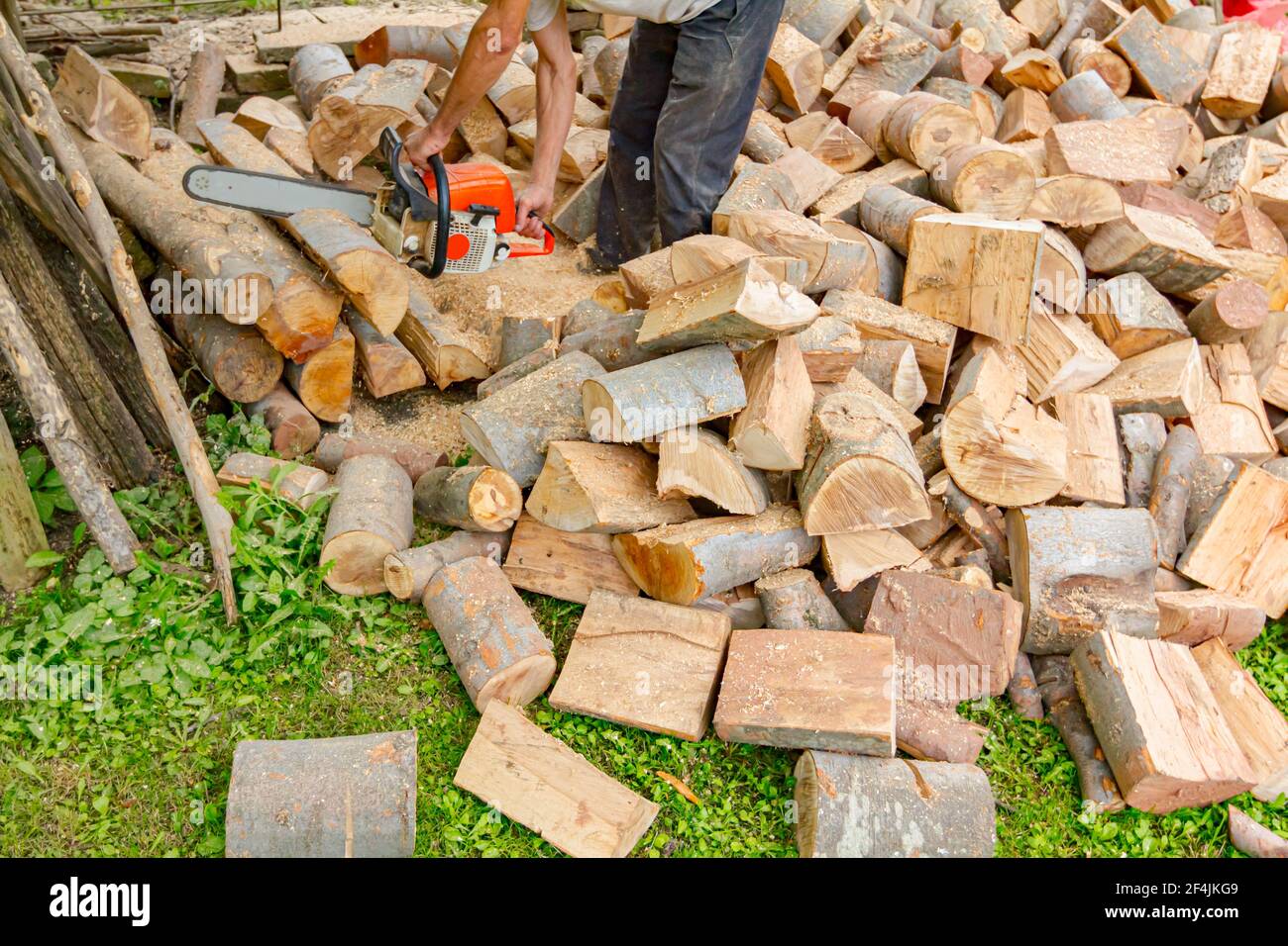Lumberjack is chopping tree trunks in the yard using professional ...