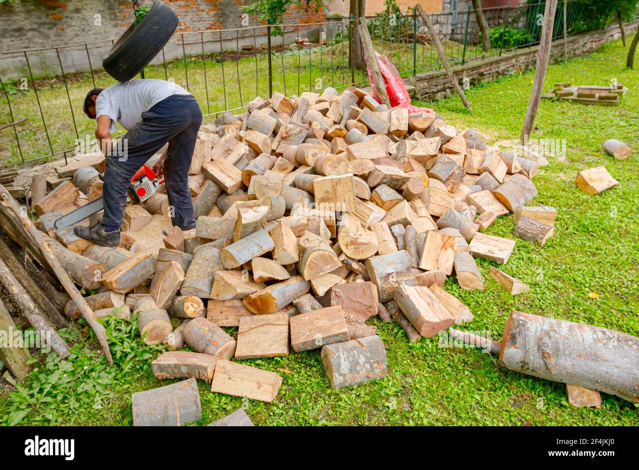Lumberjack is chopping tree trunks in the yard using professional ...