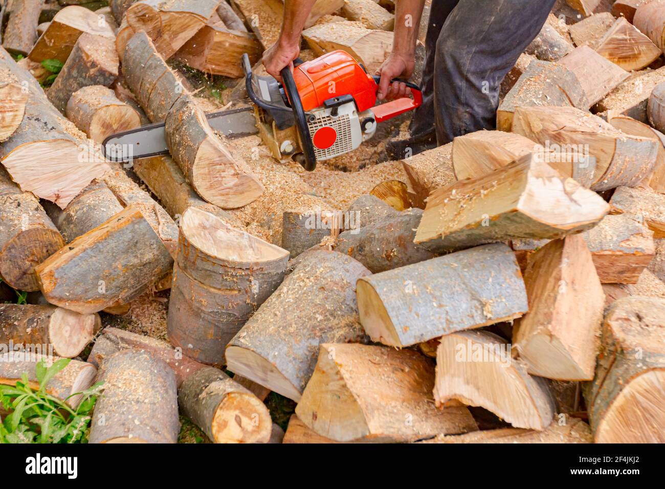 Lumberjack is chopping tree trunks in the yard using professional ...