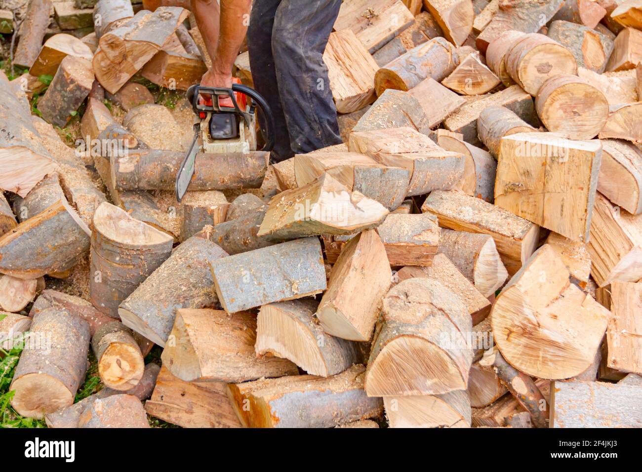 Lumberjack is chopping tree trunks in the yard using professional ...