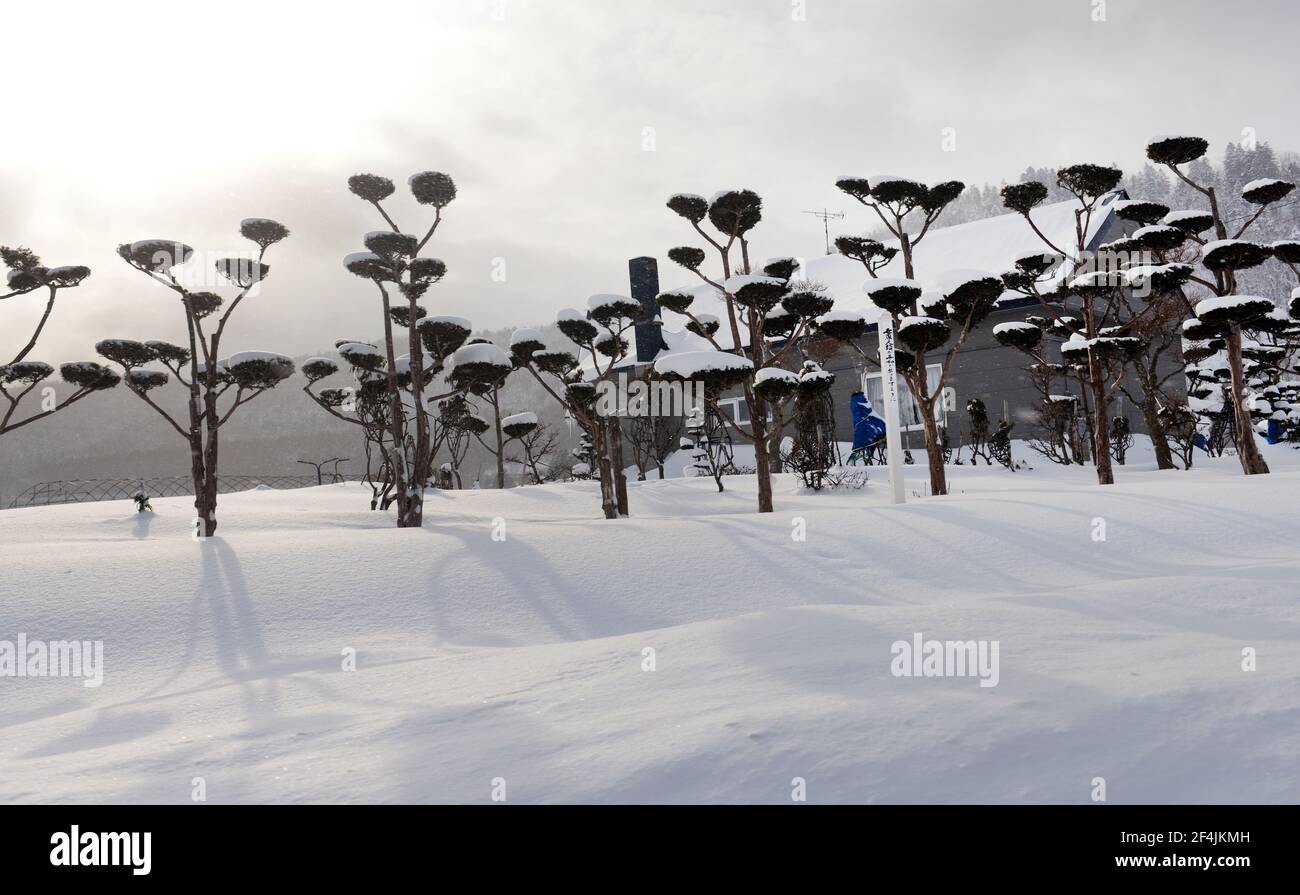 Scenic snowy landscapes in Hokkaido, Japan Stock Photo - Alamy