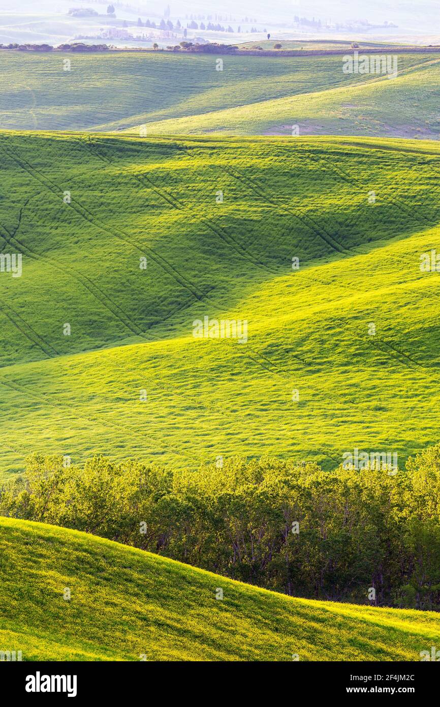 Rolling field with lights and shadows Stock Photo - Alamy