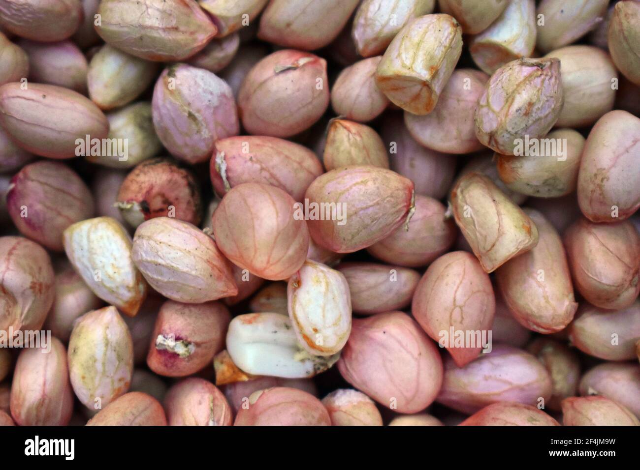 Goober ground nuts hi-res stock photography and images - Alamy