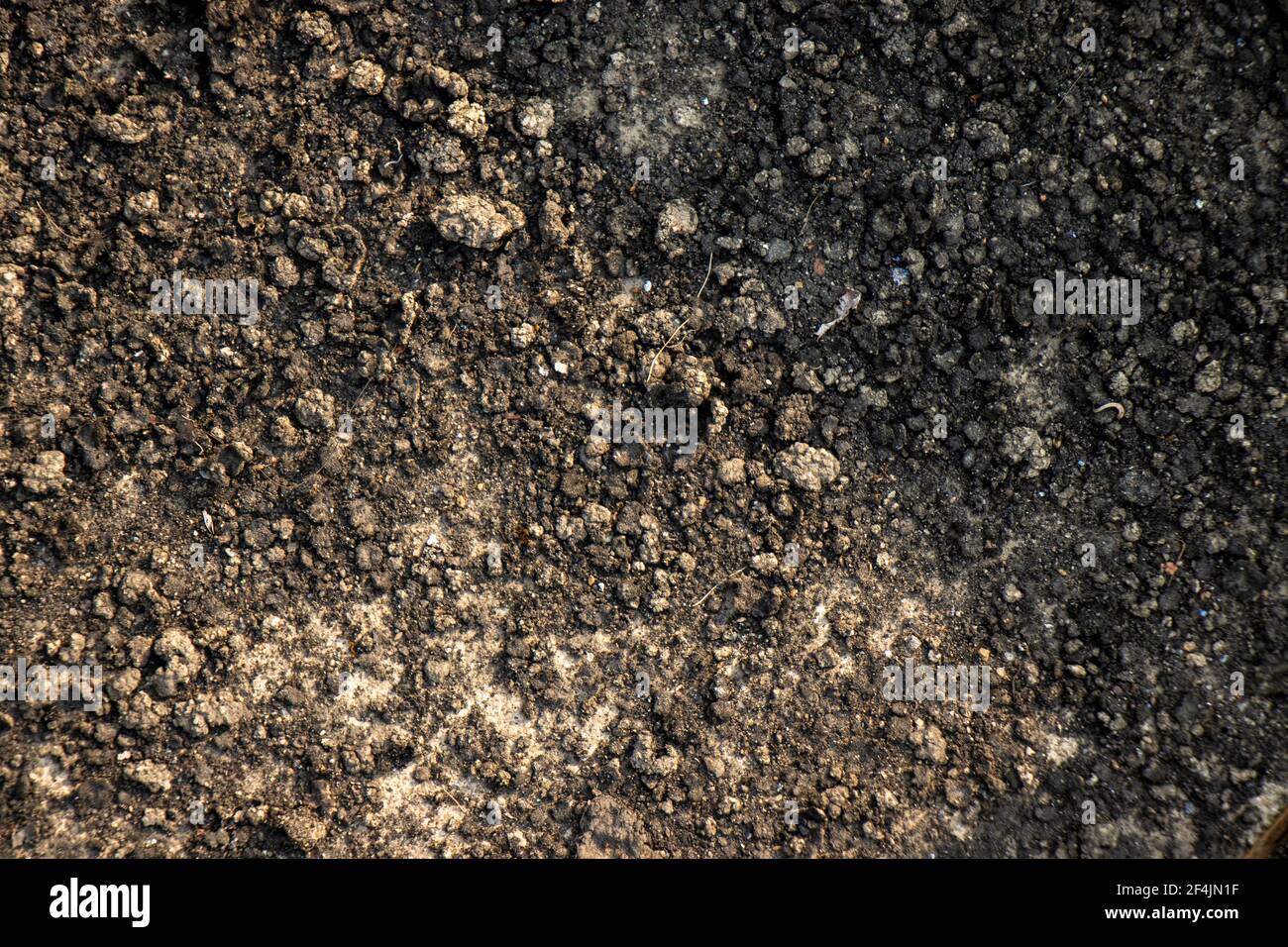 House wall texture hi-res stock photography and images - Alamy