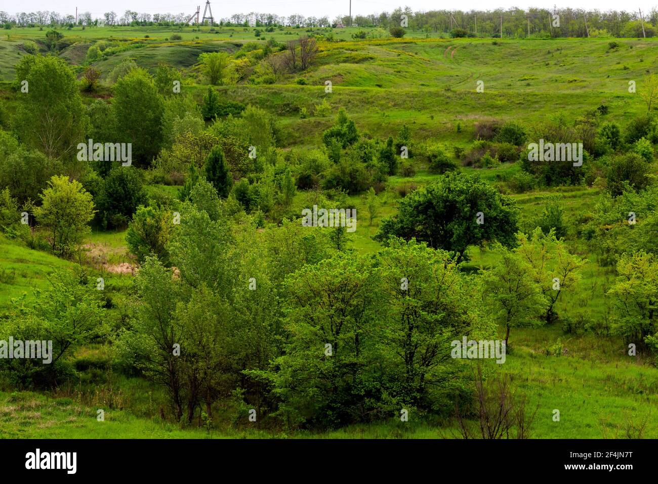 Beautiful green slopes of hills landscape. Nature in summertime Stock ...
