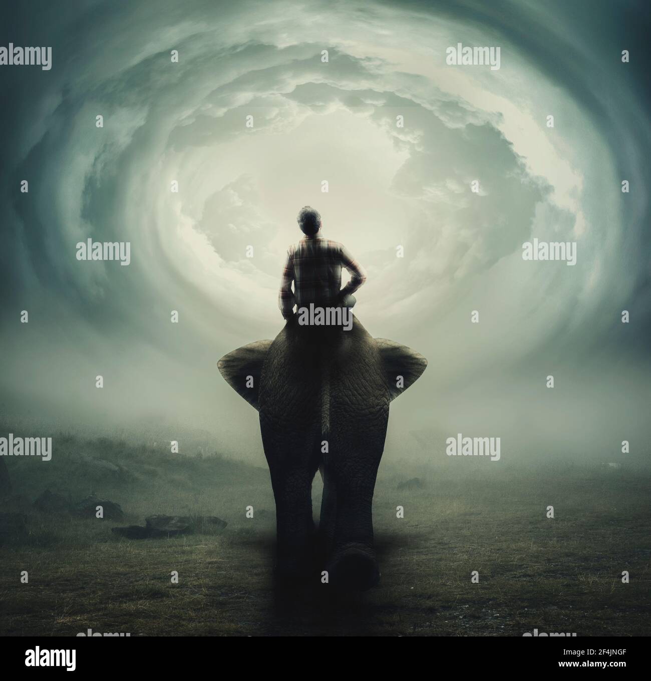 Man Riding An Elephant High Resolution Stock Photography and Images - Alamy