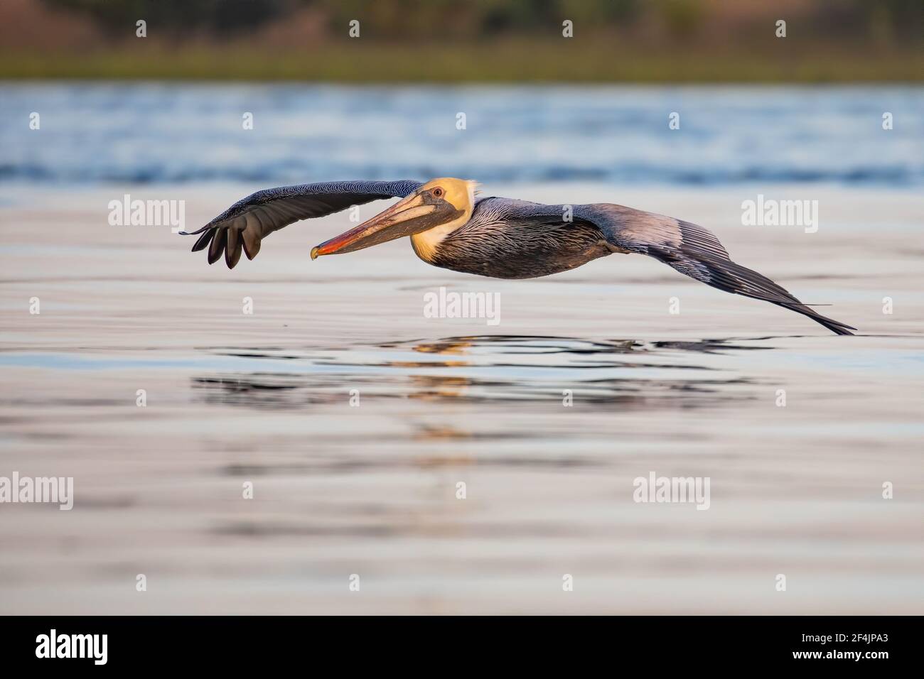 Blule water hi-res stock photography and images - Alamy