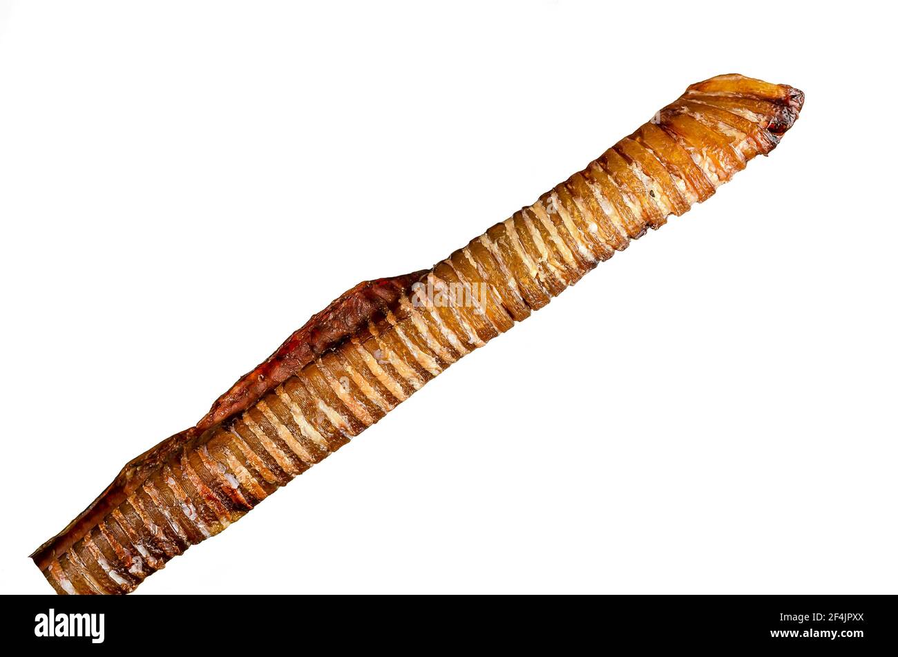 Dog treats. Natural healthy chewy treats for pets. Dried beef trachea ...