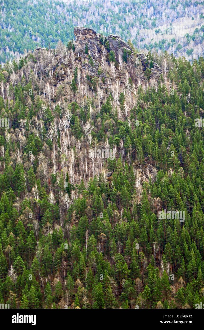 Stolby national park russia hi-res stock photography and images - Alamy