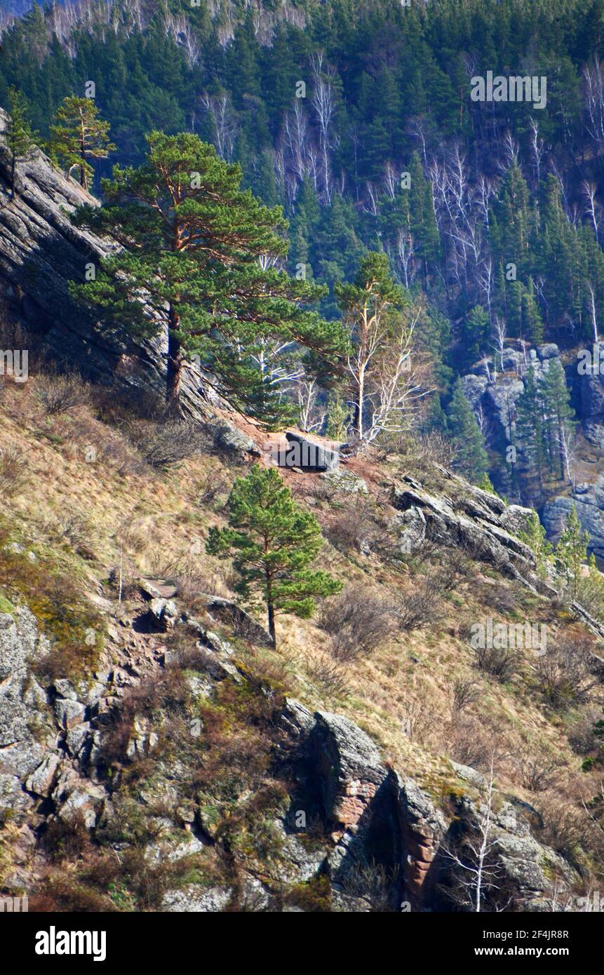 Rock outcrop in Stolby Nature Sanctuary, Krasnoyarsk, Siberia, Russia ...