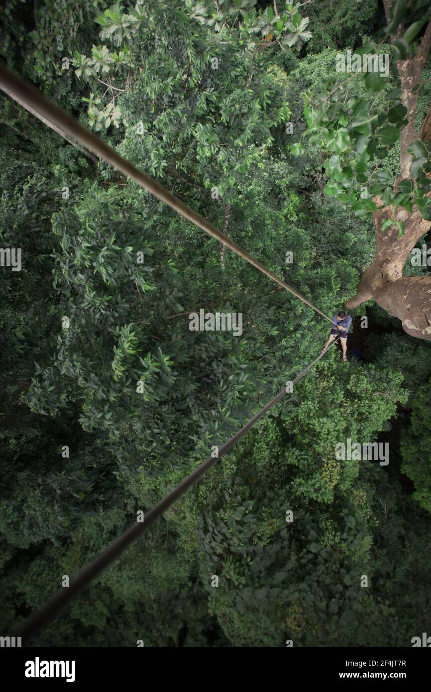 Canopy ecosystem services hi-res stock photography and images - Alamy