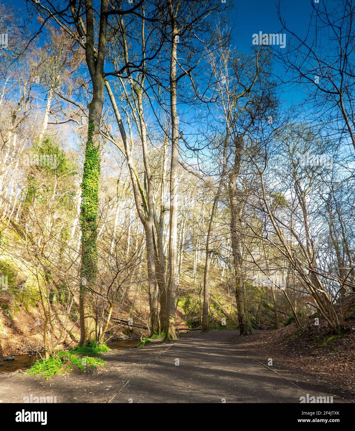 Hermitage of Braid is a local Nature Reserve with the Woodland Trust ...