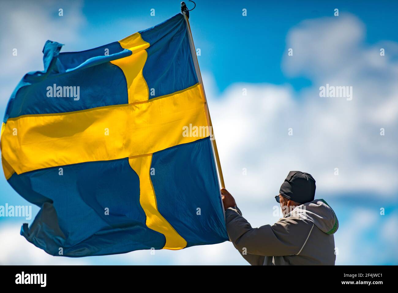 Man Holding Swedish Flag in Hard wind on sky background Stock Photo - Alamy