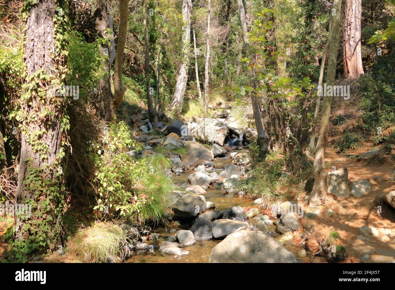 Caledonia falls cyprus hi-res stock photography and images - Alamy