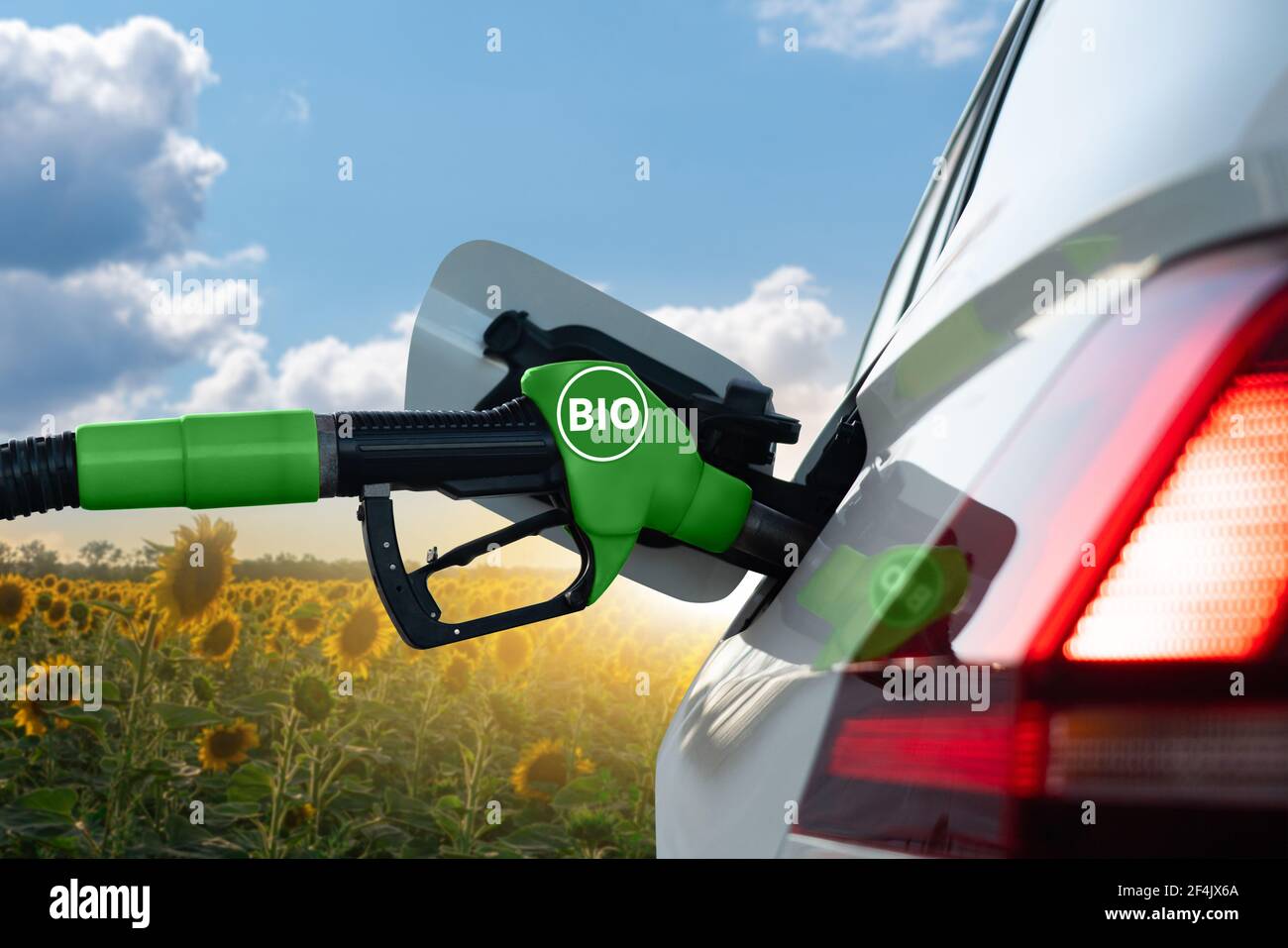 Refueling the car with biofuel Stock Photo - Alamy