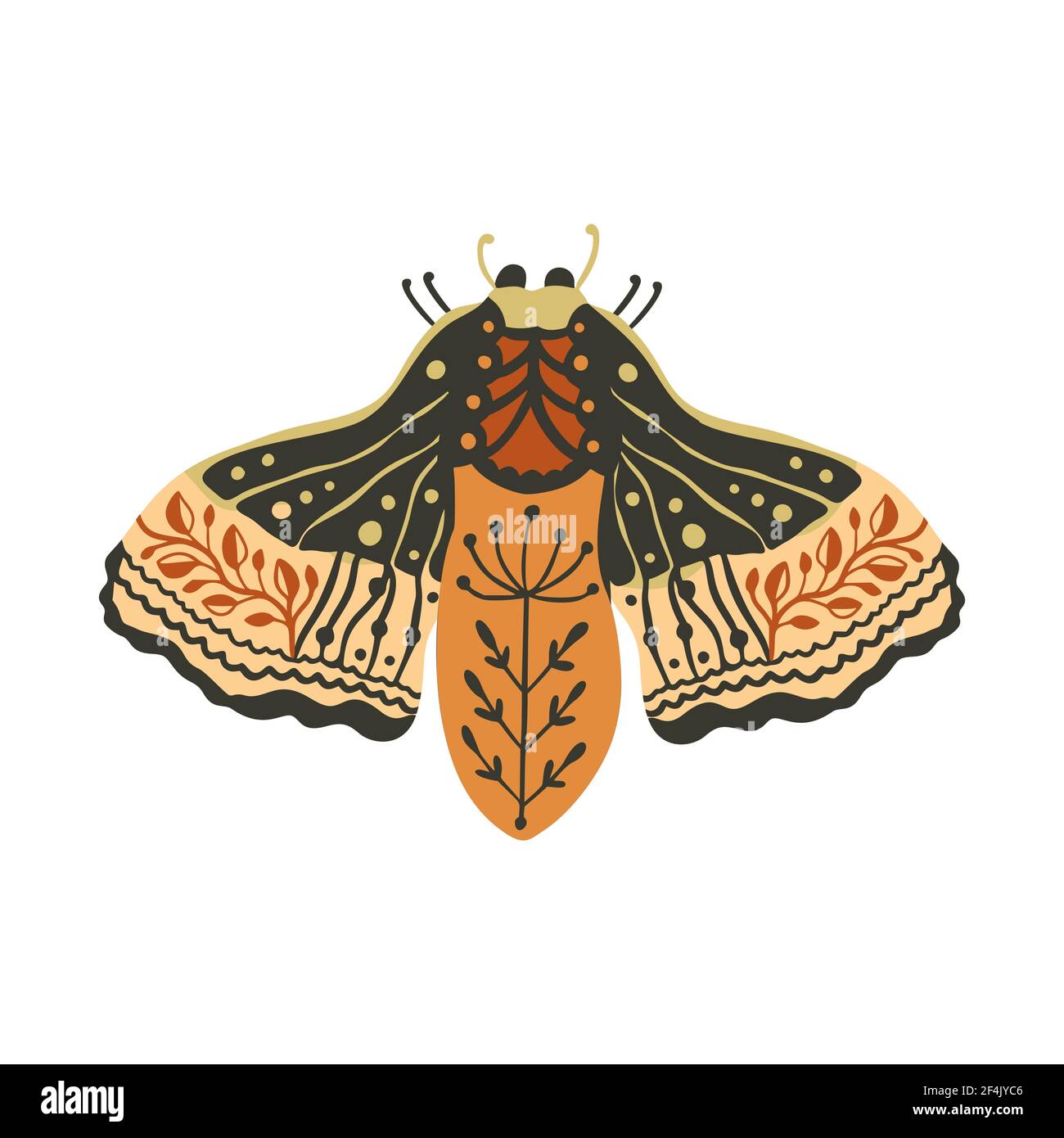 Design butterfly nature isolated insect vector art. Spring boho ...