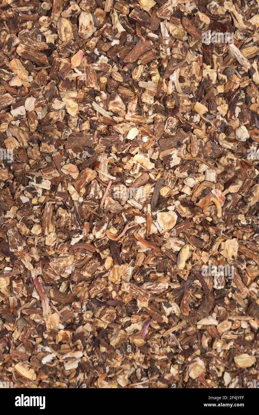 Tea, roots of Taraxacum Stock Photo - Alamy