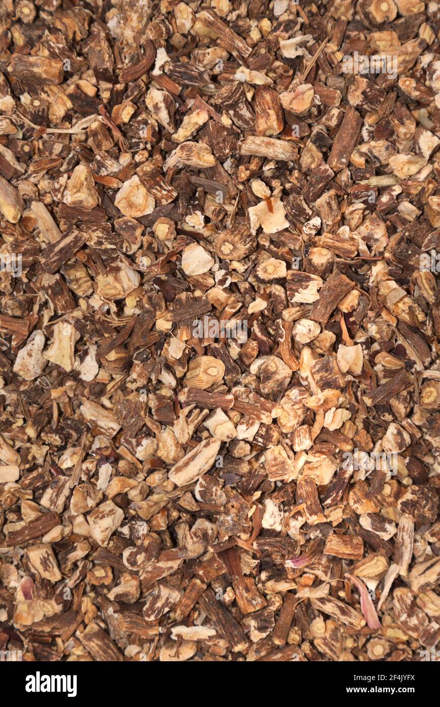 Fleshy roots hi-res stock photography and images - Alamy