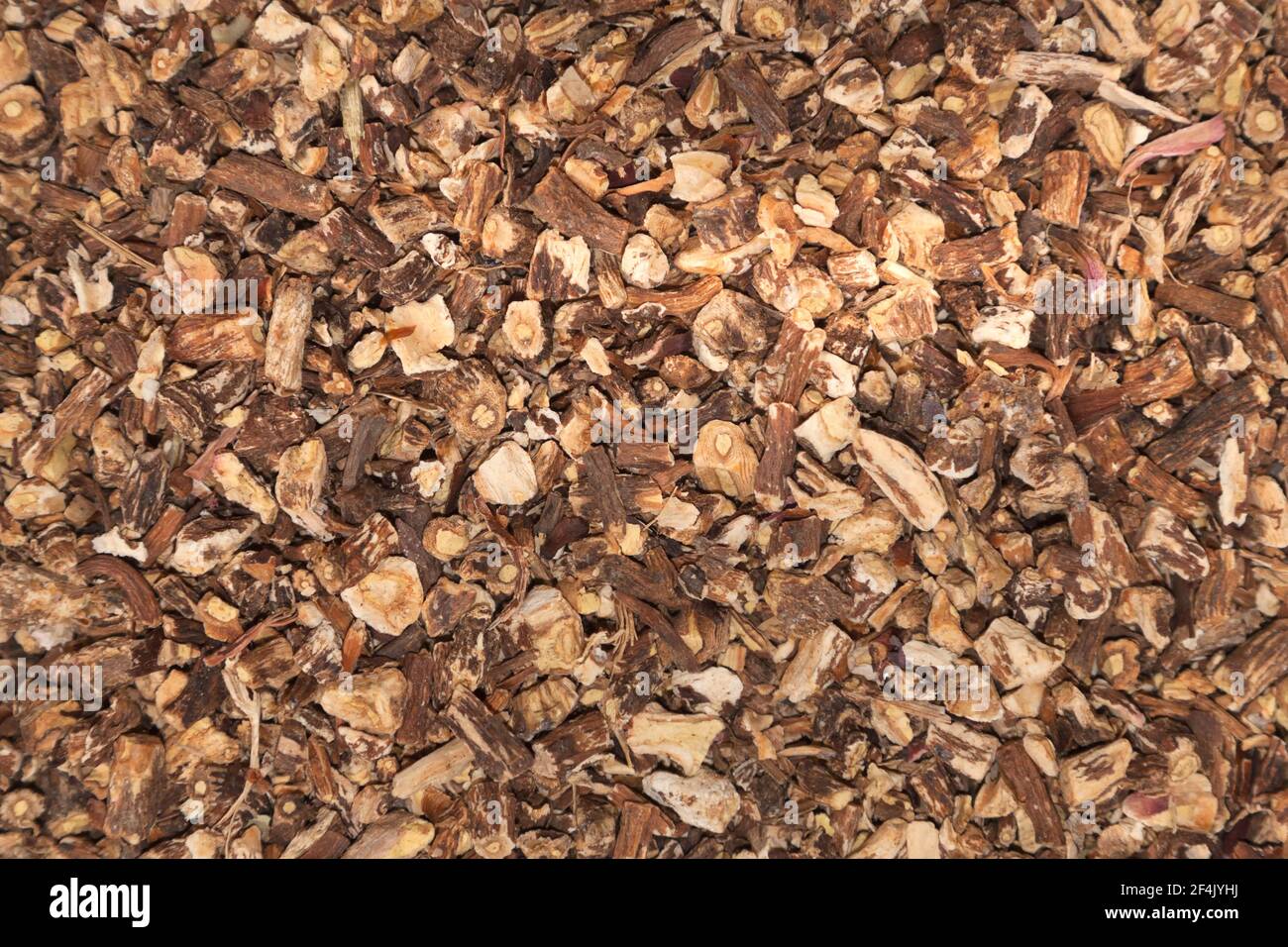 Tea, roots of Taraxacum Stock Photo - Alamy