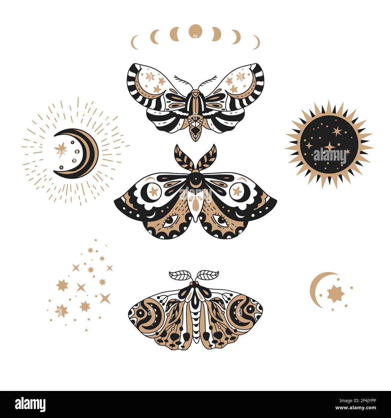 Design butterfly nature isolated insect vector art. Spring boho ...